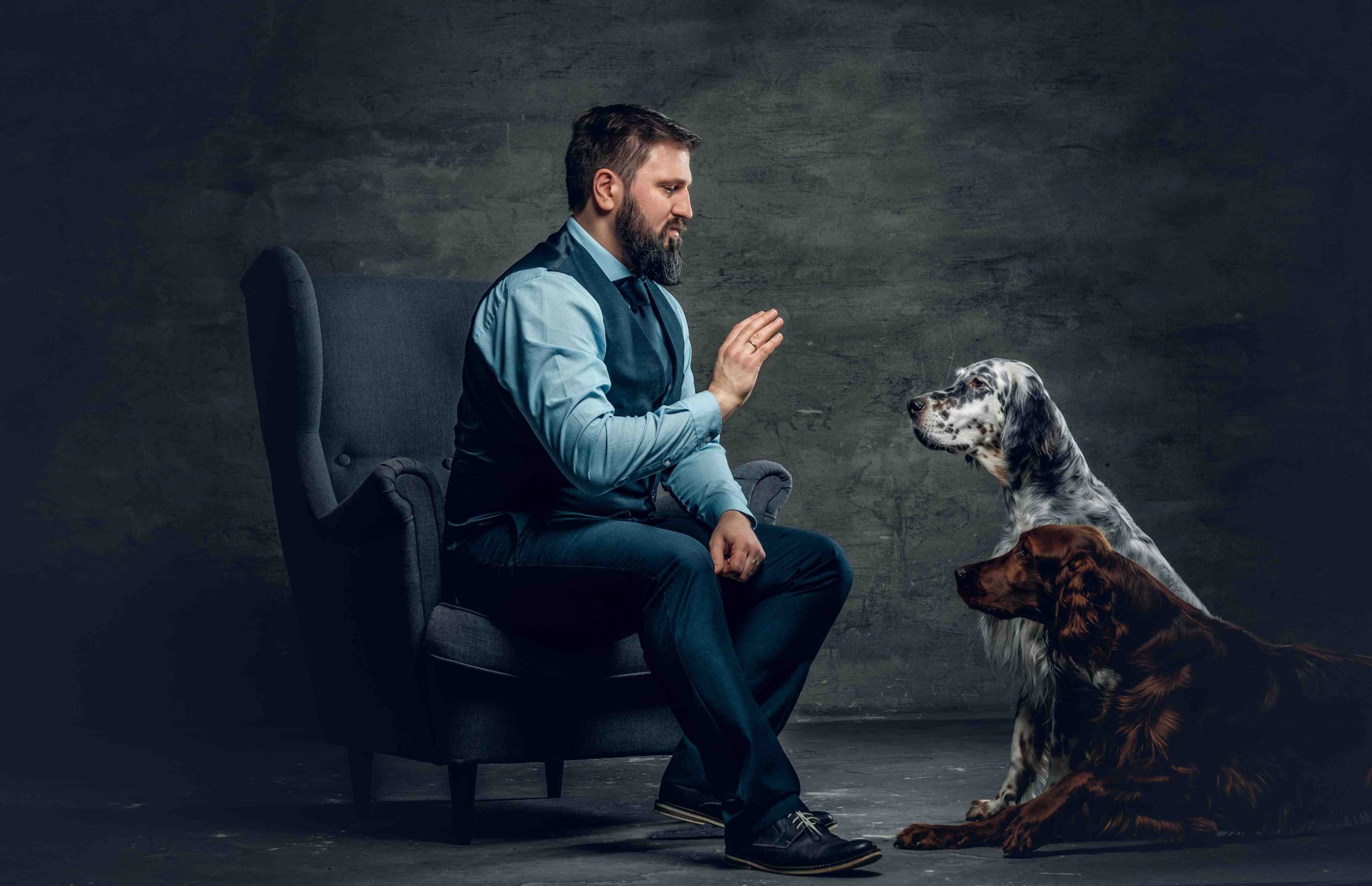 Pourquoi apprendre le assis à votre chien ? - Dogotop